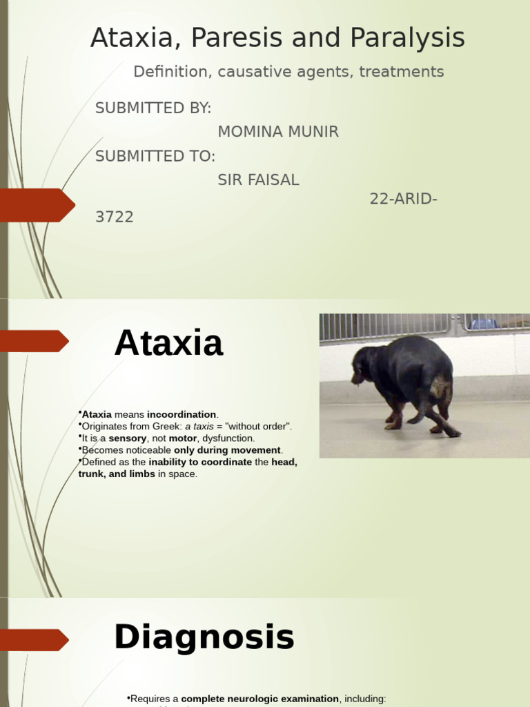 Ataxia, Paresis, and Paralysis Overview | PDF | Cerebellum | Neurology