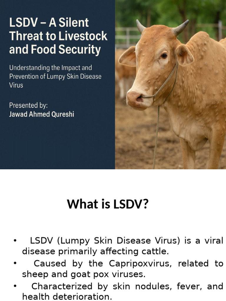 Understanding Lumpy Skin Disease Virus | PDF | Microbiology | Immunology