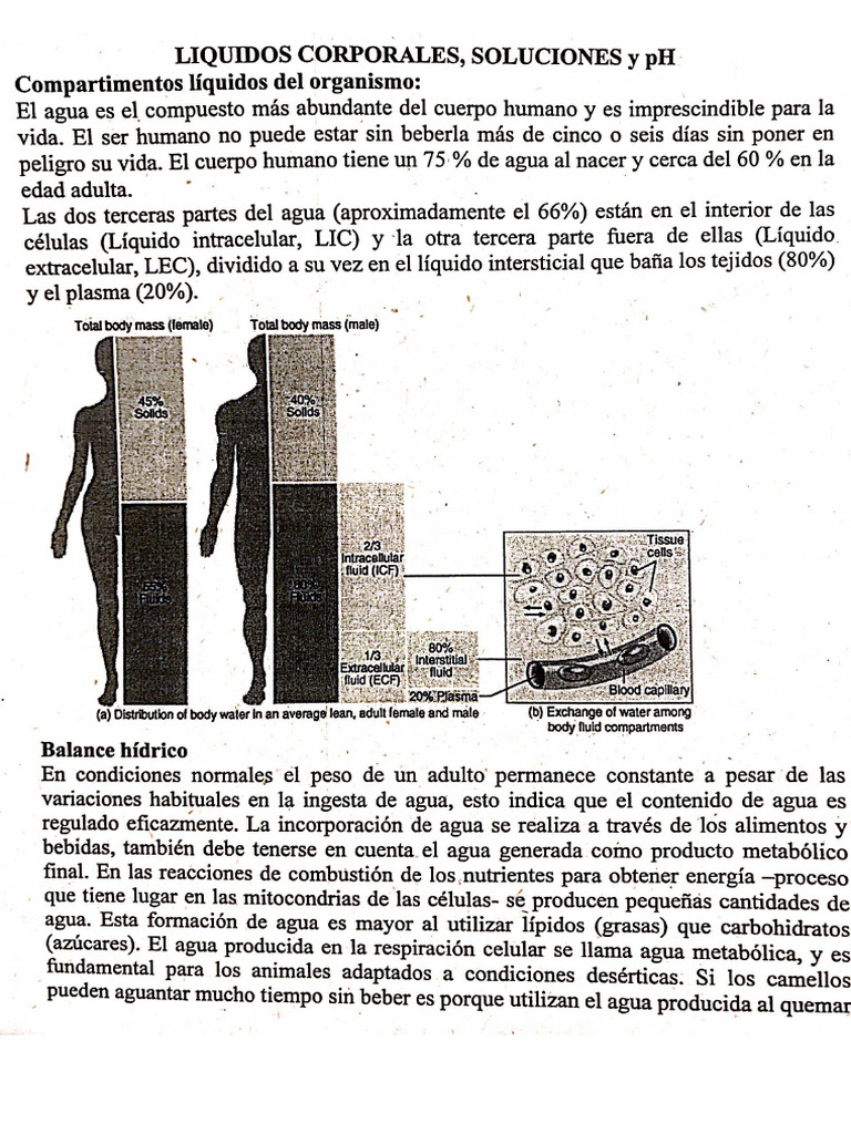 Segunda Clase Liquidos Corporales, Soluciones y PH | PDF