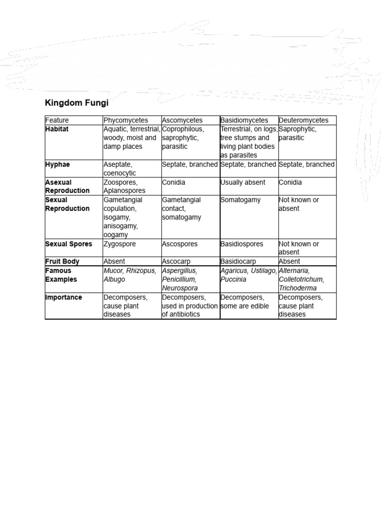 Fungi Classification Chart Overview | PDF