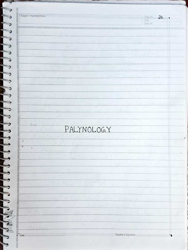 Spacial Paper Practical | PDF