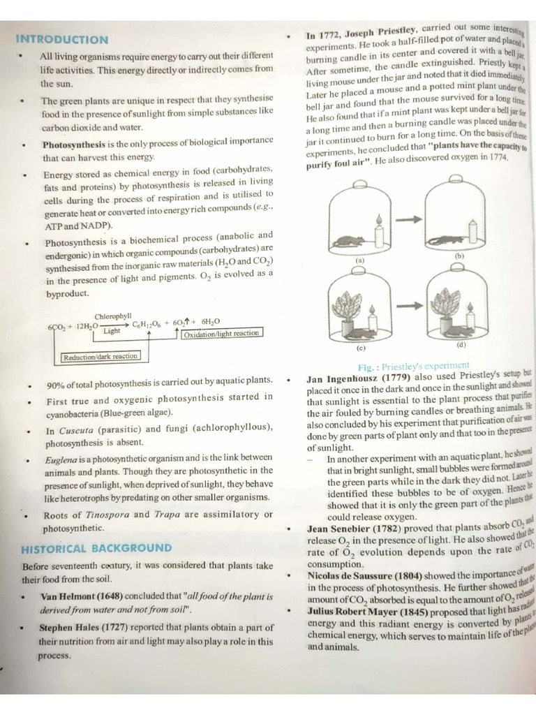 Photosynthesis TH-MCQ | PDF