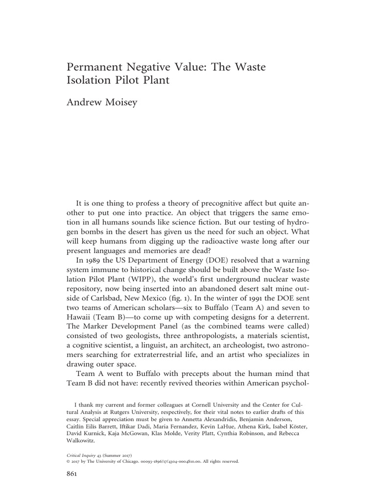 Moisey, Permanent Negative Value | PDF | Affect (Psychology) | Emotions