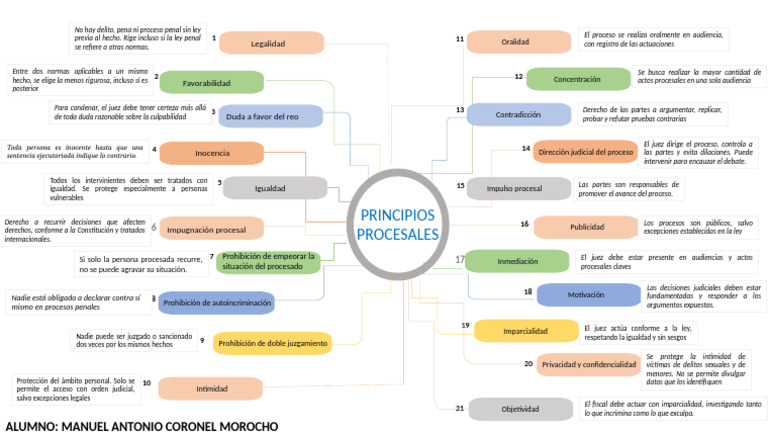 Mapa Conceptual | PDF | Ley procesal | Sentencia (ley)