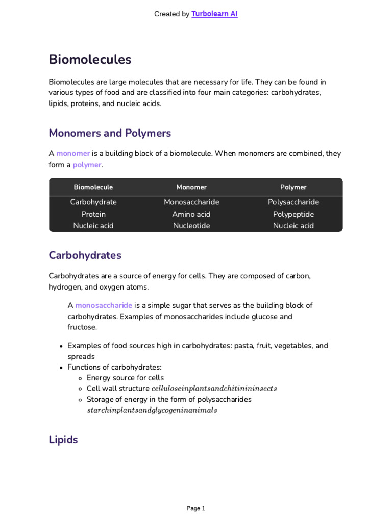 Biomolecules: Monomers and Polymers | PDF | Dna | Biomolecules