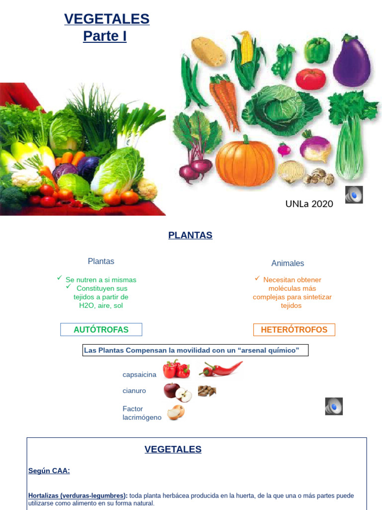 Clasificación y Estructura de Vegetales | PDF | Pared celular | Plantas