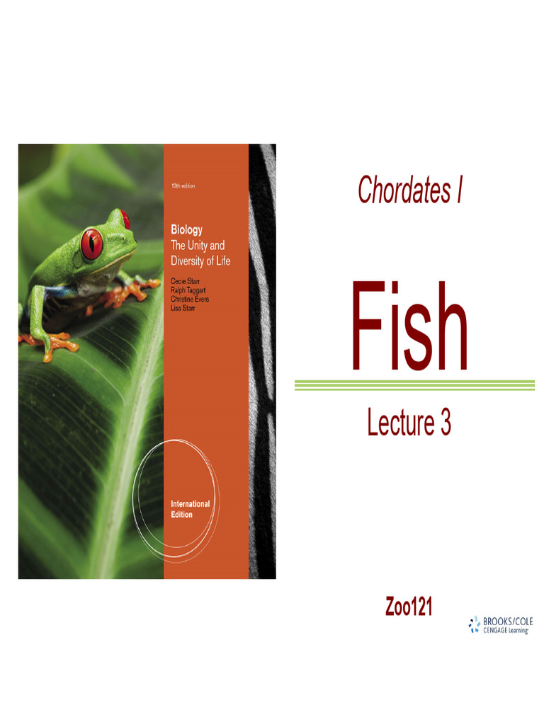 Biology of Fishes: Anatomy and Adaptations | PDF | Fish | Animal Locomotion