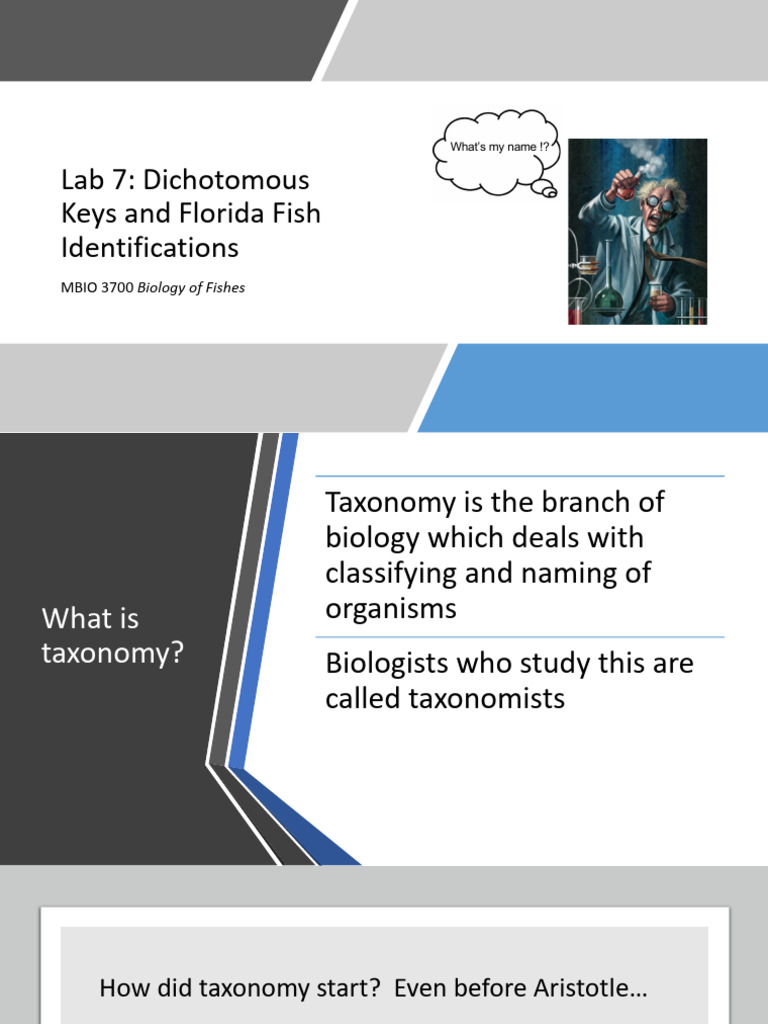 MBIO+3700+--+Lab+7+-+Dichotomous+Key+Lab+--+23+Oct+2023 | PDF ...