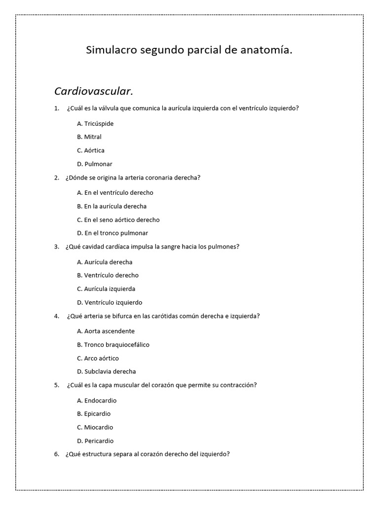 Simulacro Segundo Parcial de Anatomía | PDF | Pulmón | Corazón