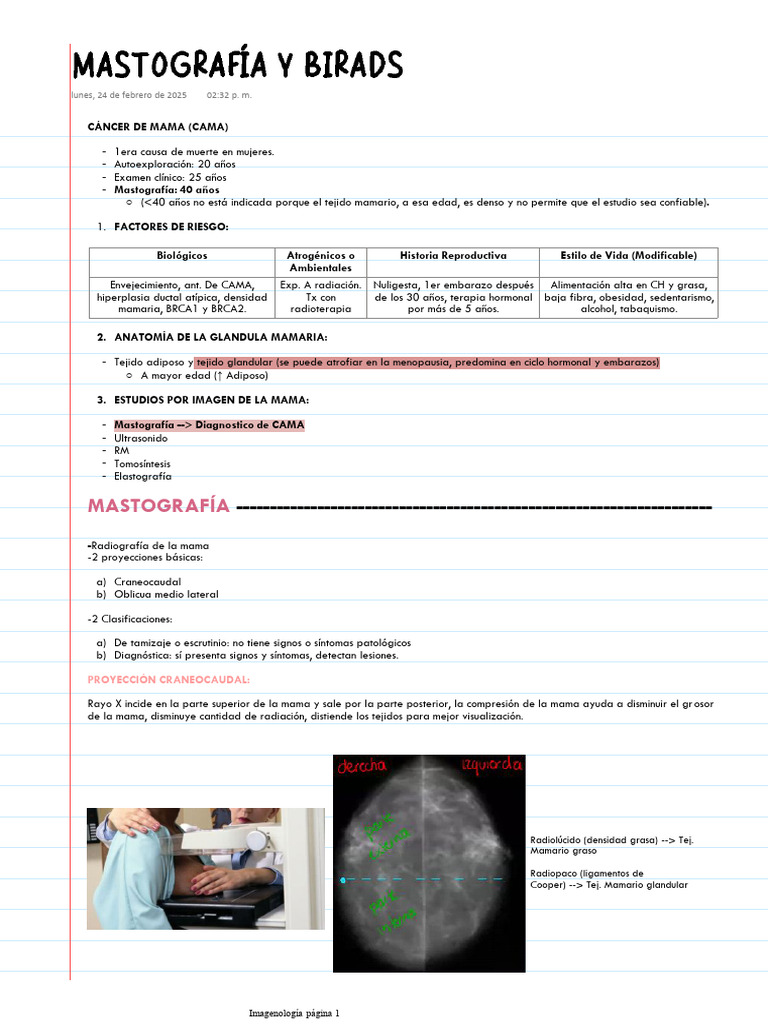 Prevención y Diagnóstico del Cáncer de Mama | PDF | Mamografía | Pecho