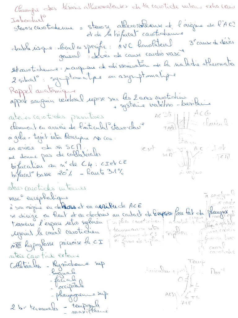 Chirurgie Des Lésions Atheromateuse de La Carotide Interne ...