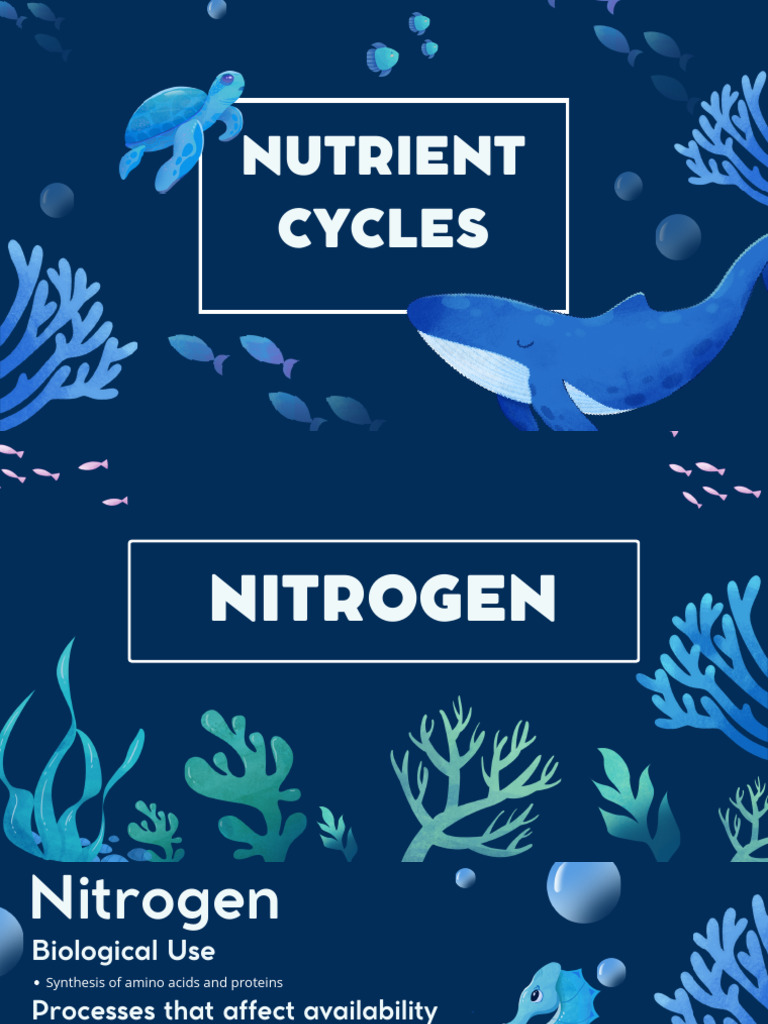 Understanding Marine Nutrient Cycles | PDF