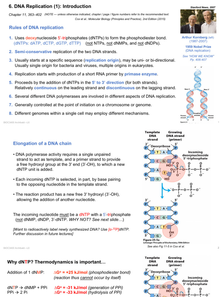 DNA Replication Rules and Mechanisms | PDF | Dna Replication | Primer ...