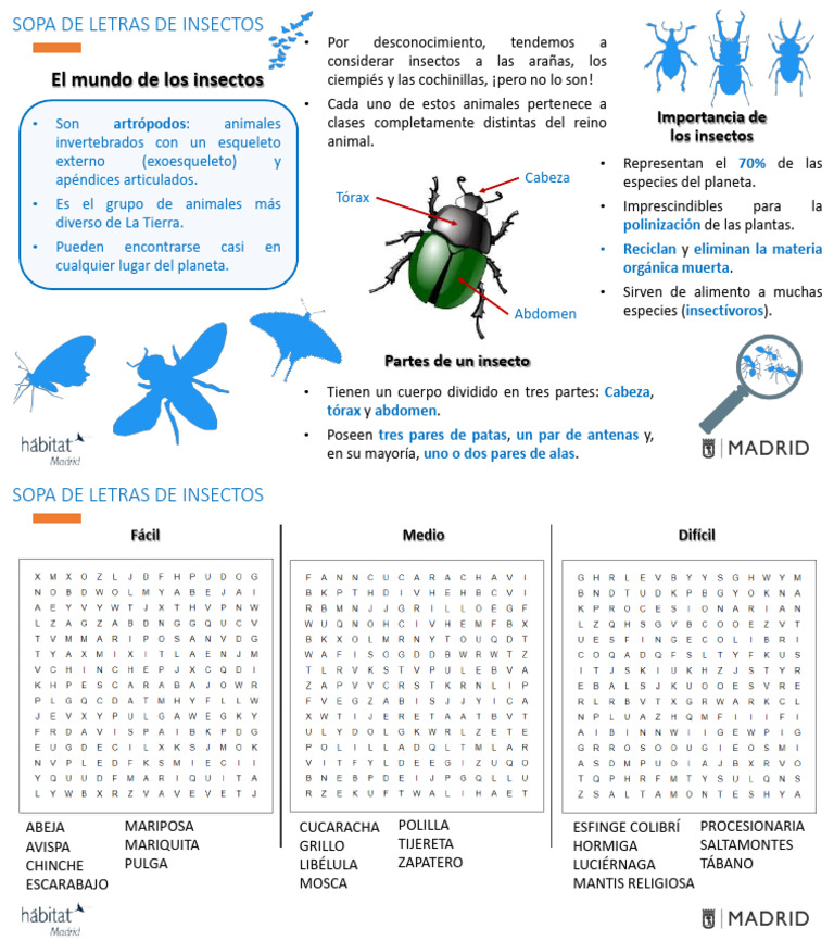 Sopa de letras: Insectos para niños | PDF