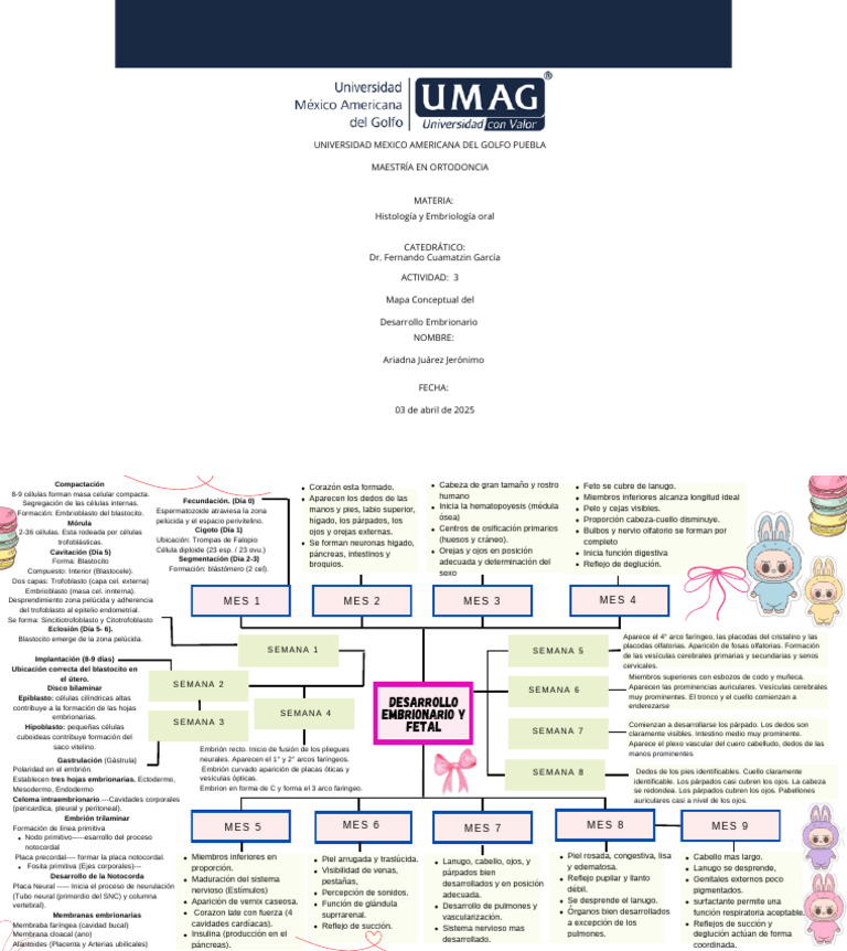 Green Professional Extensive Mind Map Graph | PDF | Biología del ...