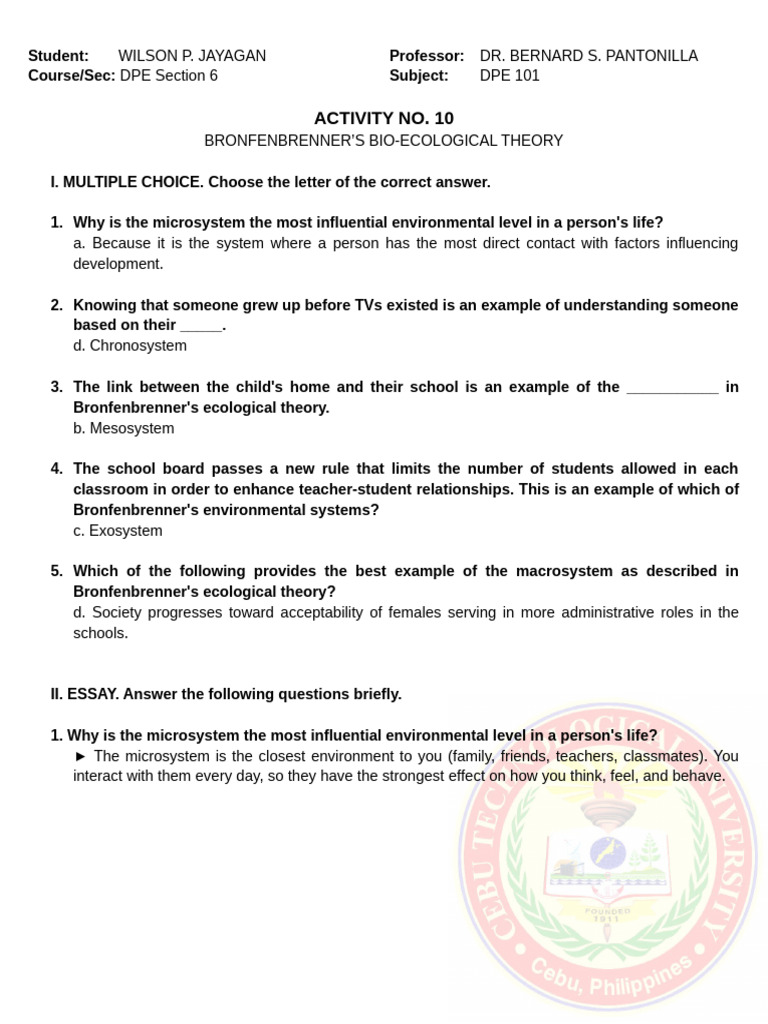 DPE 101 Activity 10 Bronfenbrenner BioEcological Theory (Wilson Jayagan ...