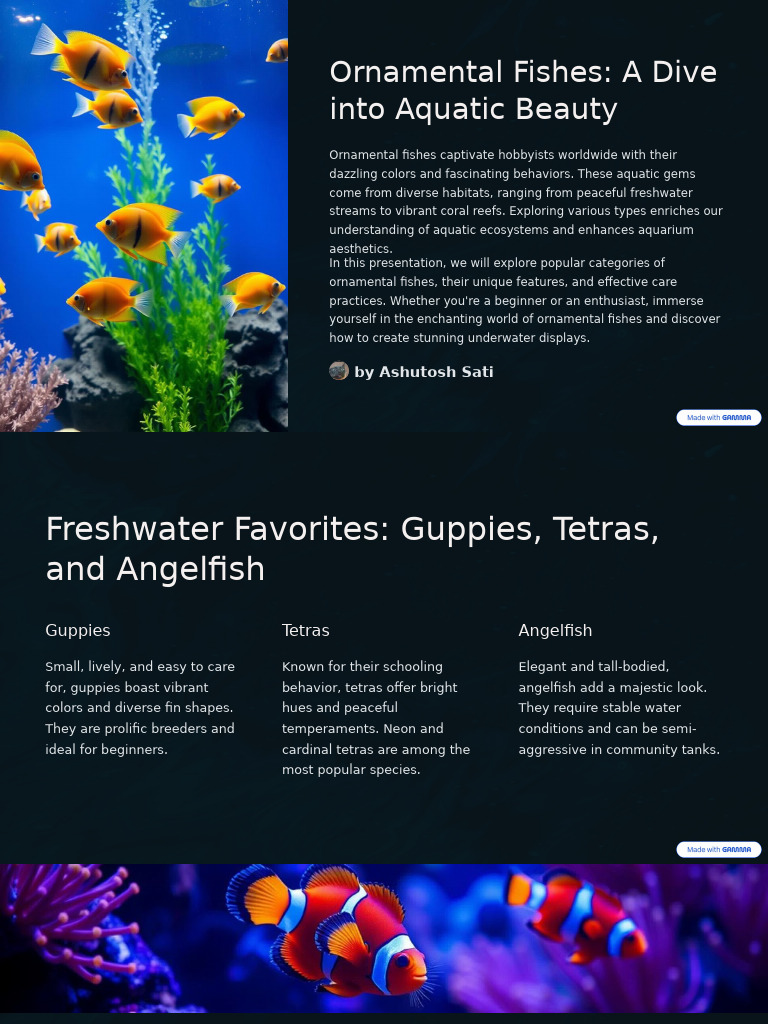 Ornamental Fish Care and Types Guide | PDF | Fishkeeping | Aquarium