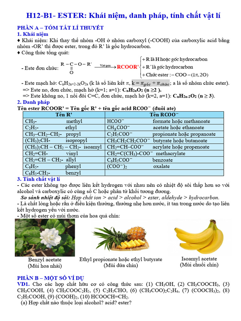 H12-B1 - Ester (HS) | PDF