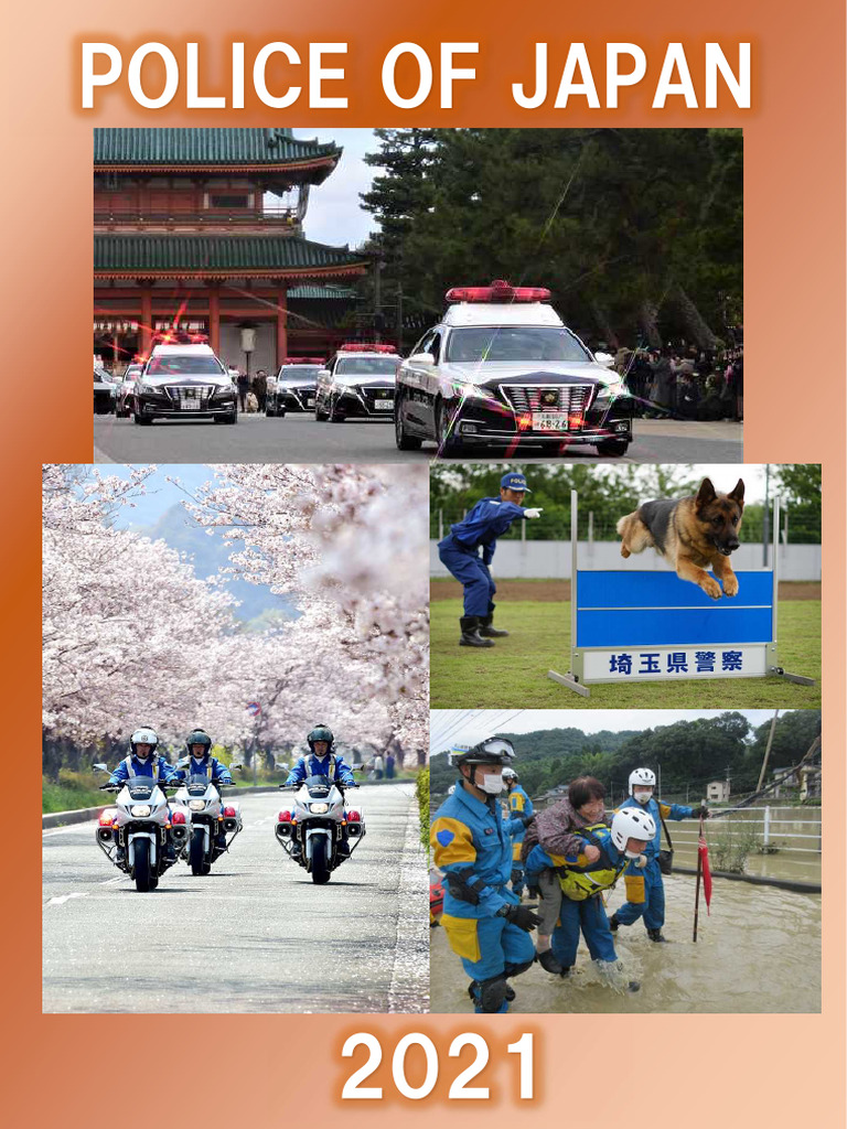 Overview of Japan's Police Structure | PDF | Police | Prosecutor