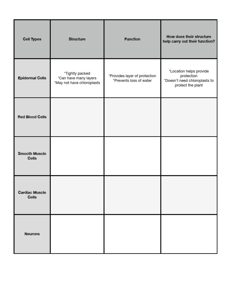 Isaiah Martinez - Specialized Cells Graphic Organizer PDF | PDF