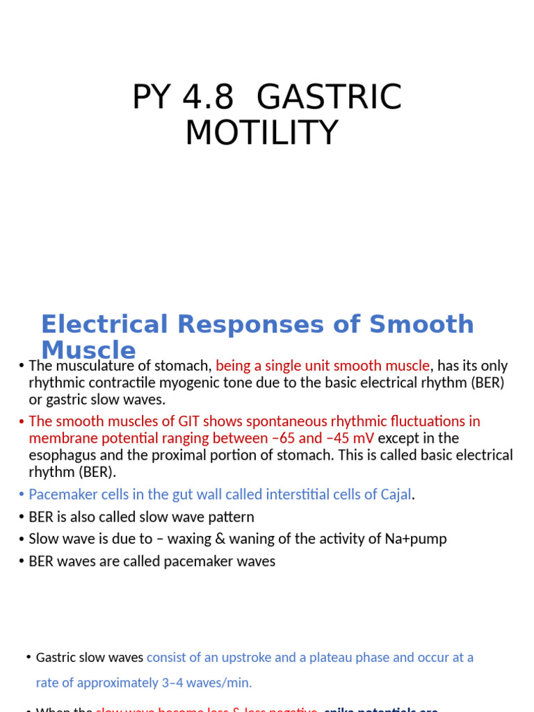 GI Motility | PDF | Stomach | Gastrointestinal Tract