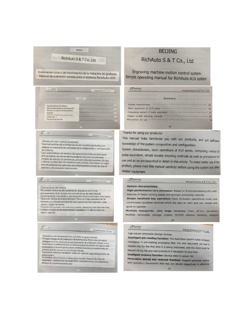 MANUAL RichAuto | PDF