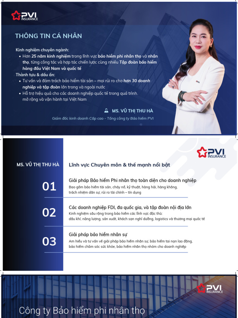 PVI INSURANCE PROFILE - Vũ Hà | PDF