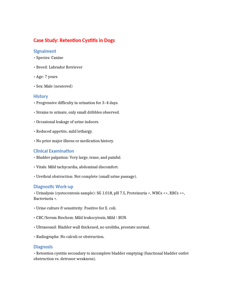 Retention Cystitis in Dogs: Case Study | PDF | Urinary Tract Infection ...