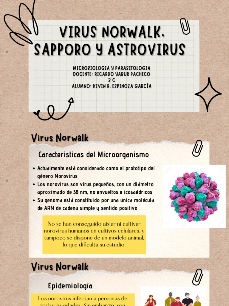Características del virus Sapporo | PDF | Virus | Enfermedades y ...