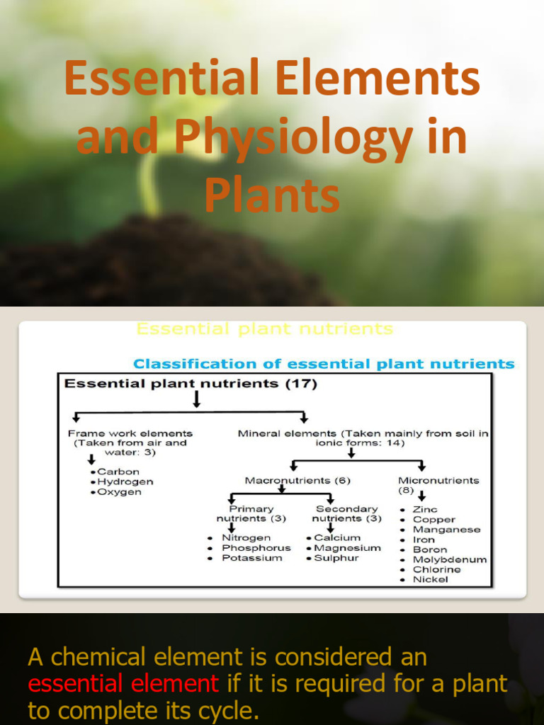 Essential Plant Elements and Physiology | PDF | Cofactor (Biochemistry ...