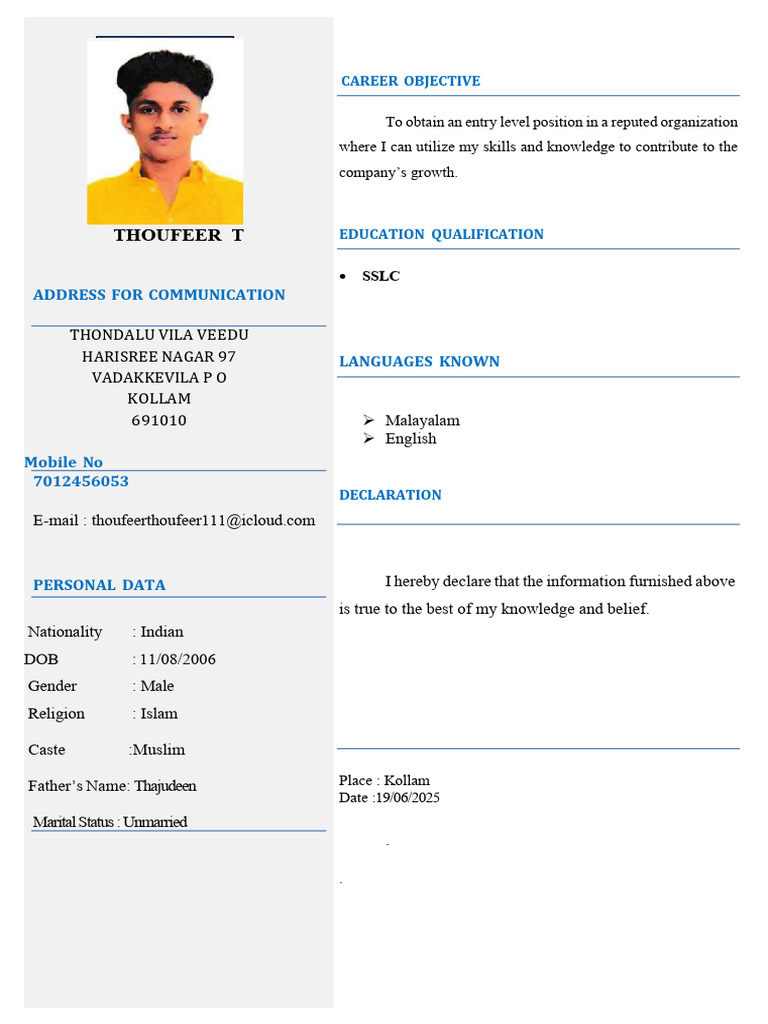 Entry-Level Job Application Resume | PDF