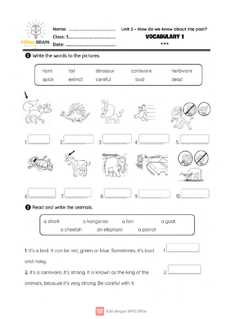 Now I Know Grade 3 For Unit 3 (Question Exercise) | PDF