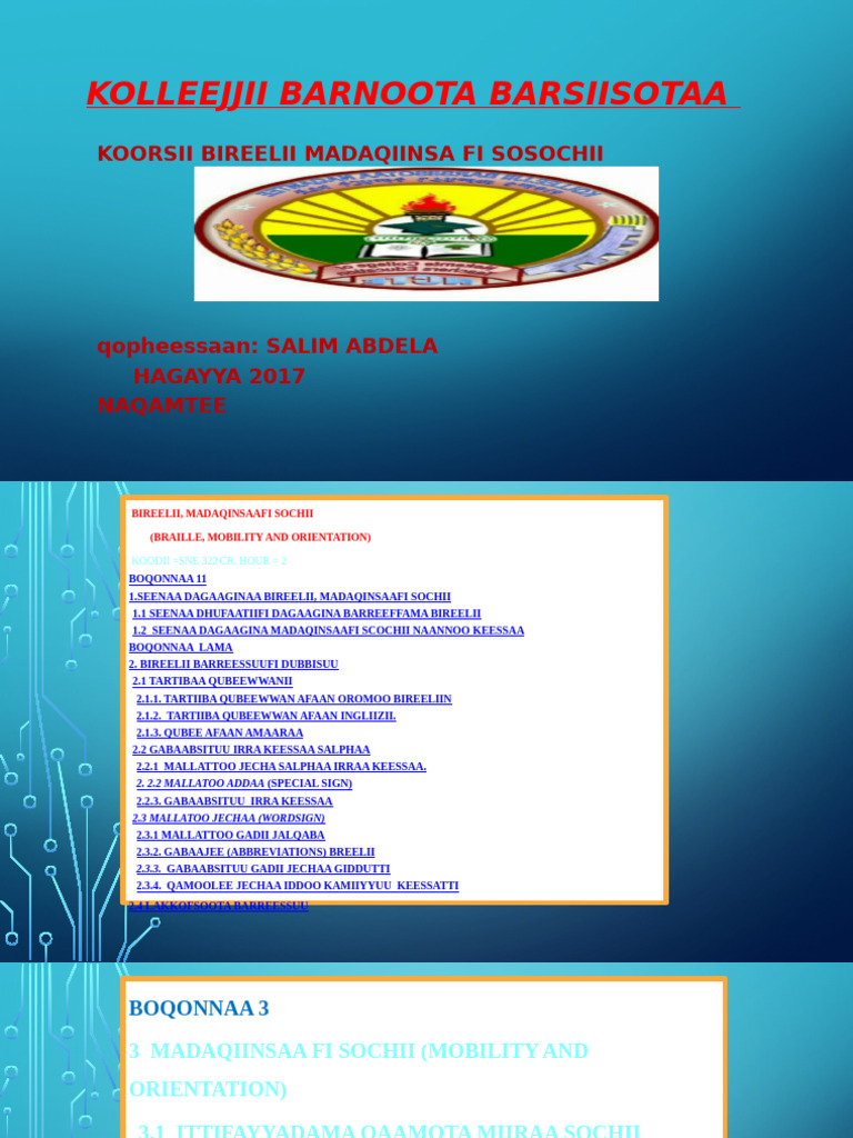 Braille and Mobility Training 2 | PDF