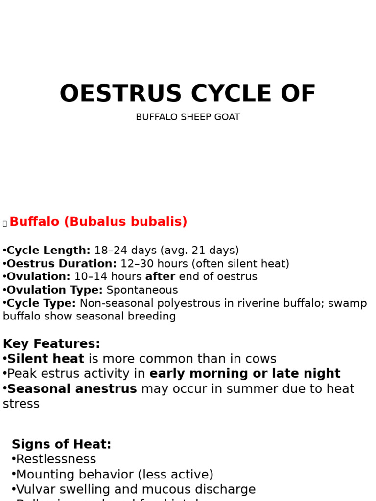 Oestrus Cycle of Buffalo Sheep Goat | PDF | Sexuality | Sexual Reproduction