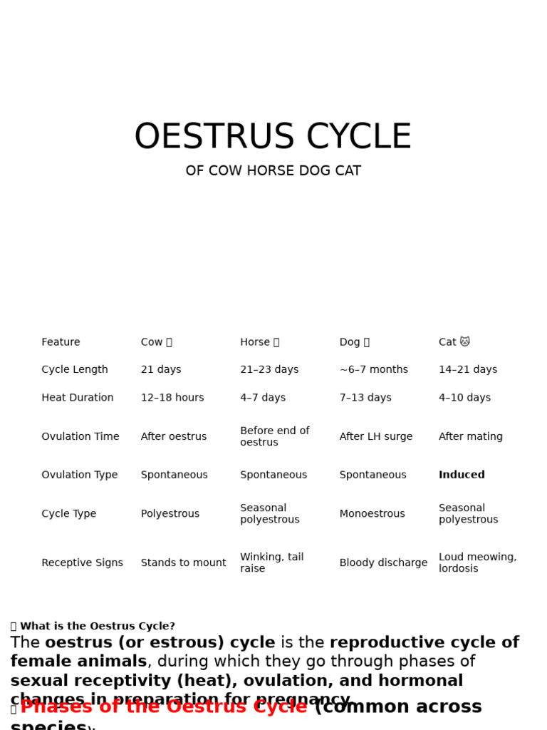 Oestrus Cycle of Cattle, Horse, Dod, Cat | PDF | Endocrine System ...