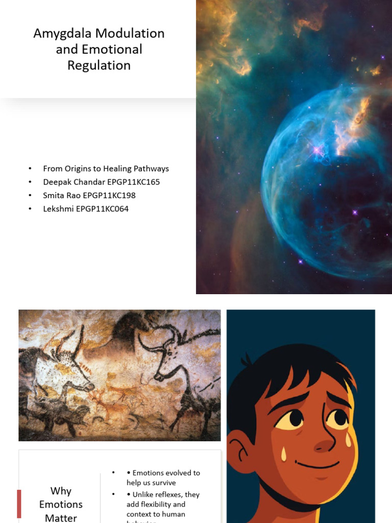 Amygdala and Emotion Regulation Insights | PDF | Emotions | Emotional ...
