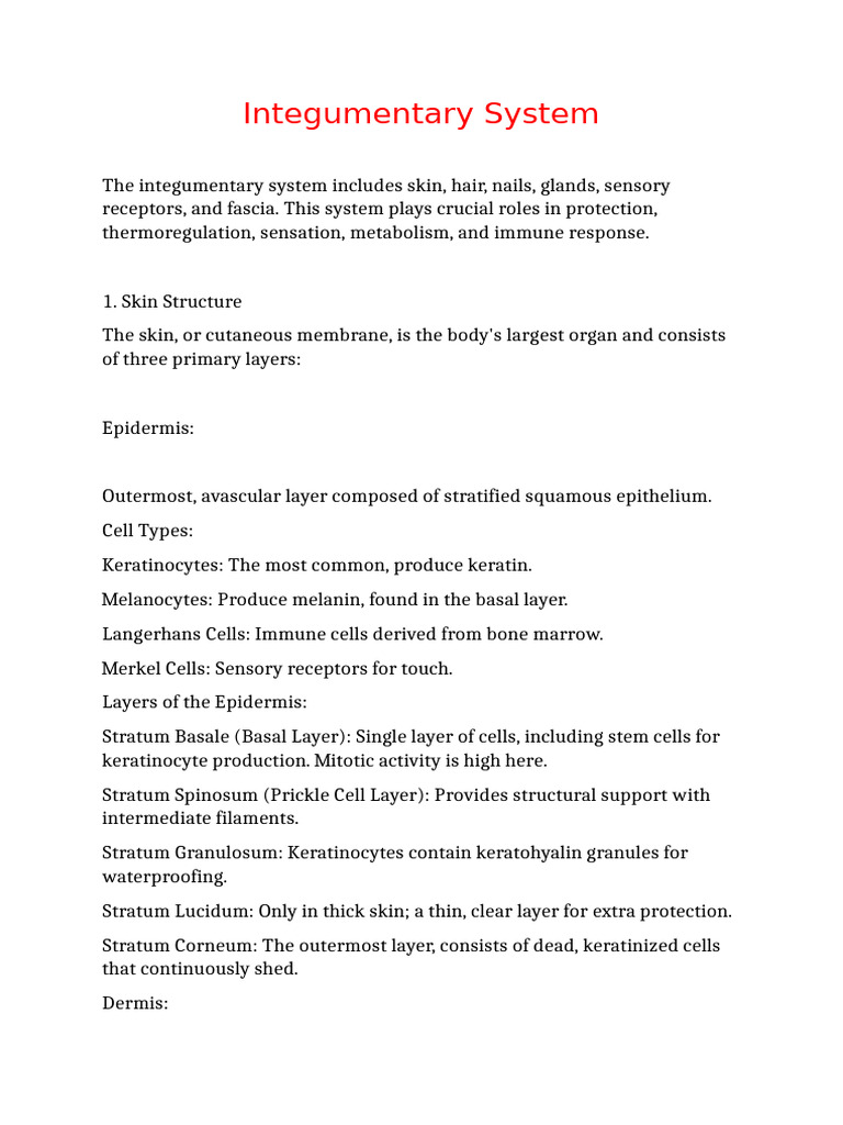 Overview of the Integumentary System | PDF | Integumentary System | Skin