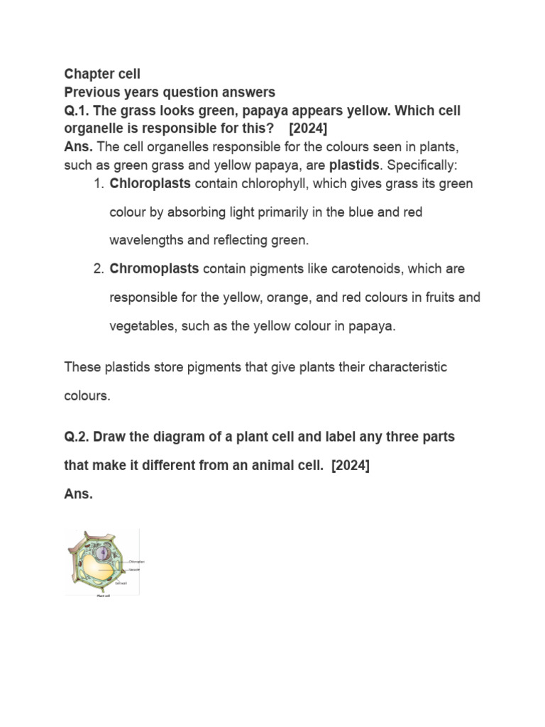 Class 9 Cell Assignment 2 | PDF | Cell (Biology) | Cell Nucleus