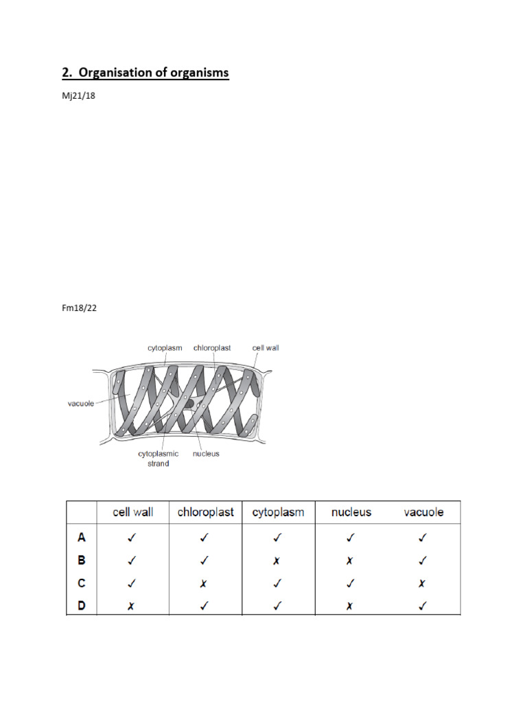 Organisation of Organism | PDF | Cell (Biology) | Tissue (Biology)