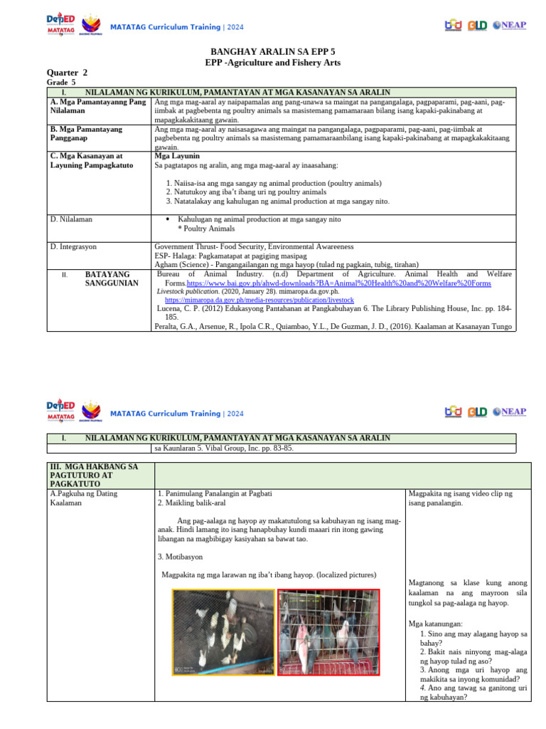 Banghay Aralin Sa Epp 5 Afa Chito - Final | PDF