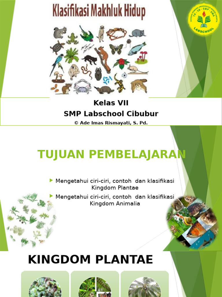 Kingdom Plantae Dan Animalia | PDF
