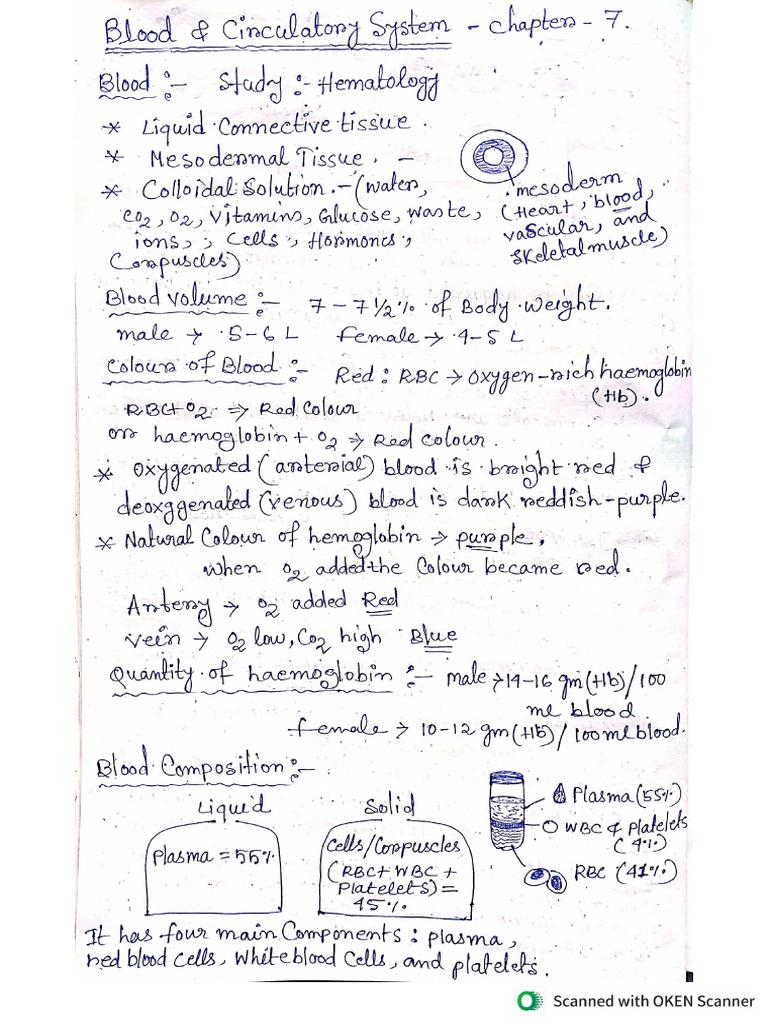 298 Handwritten Notes English Blood & Circulatory System | PDF