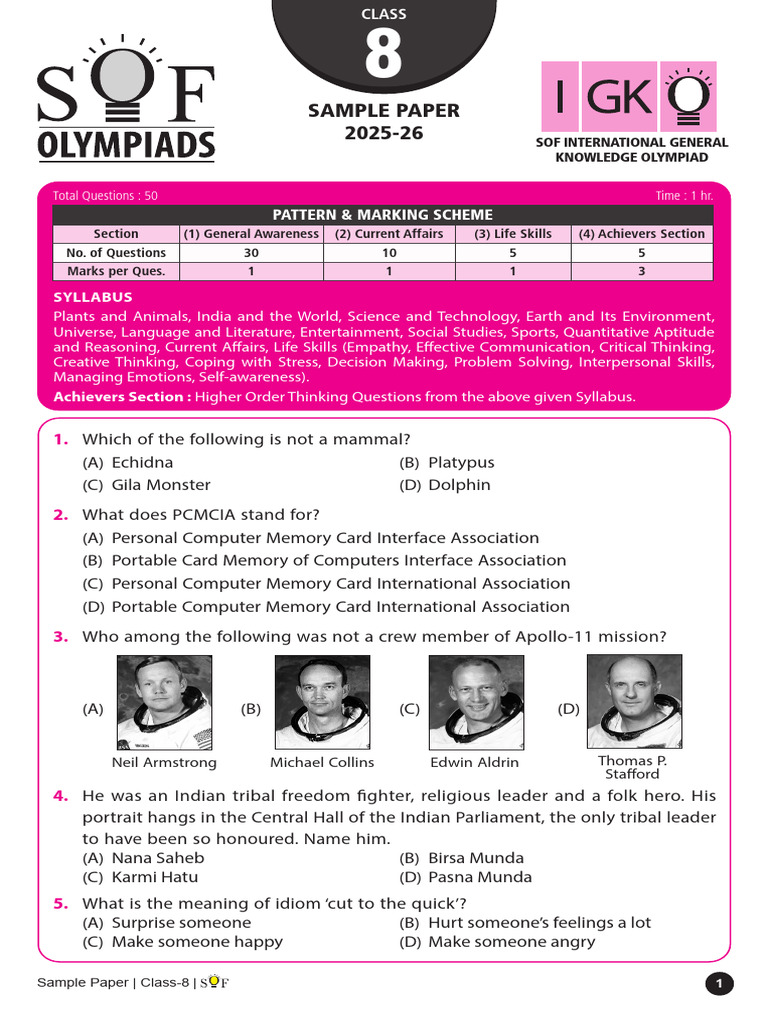 IGKO Class 8 Sample Paper 2025 | PDF | Computing