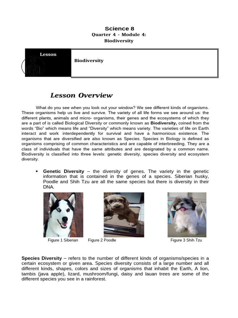 Understanding Biodiversity in Ecosystems | PDF | Biodiversity | Species