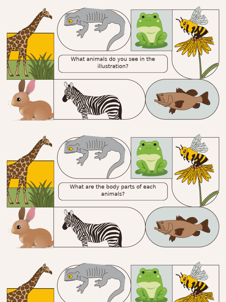 Body Parts of Animals and Their Functions | PDF | Predation | Habitat