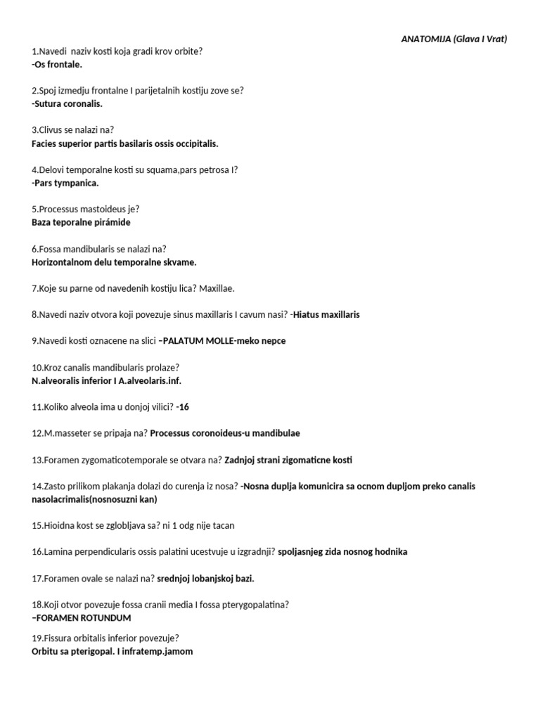 Anatomija (Glava I Vrat) 1 | PDF