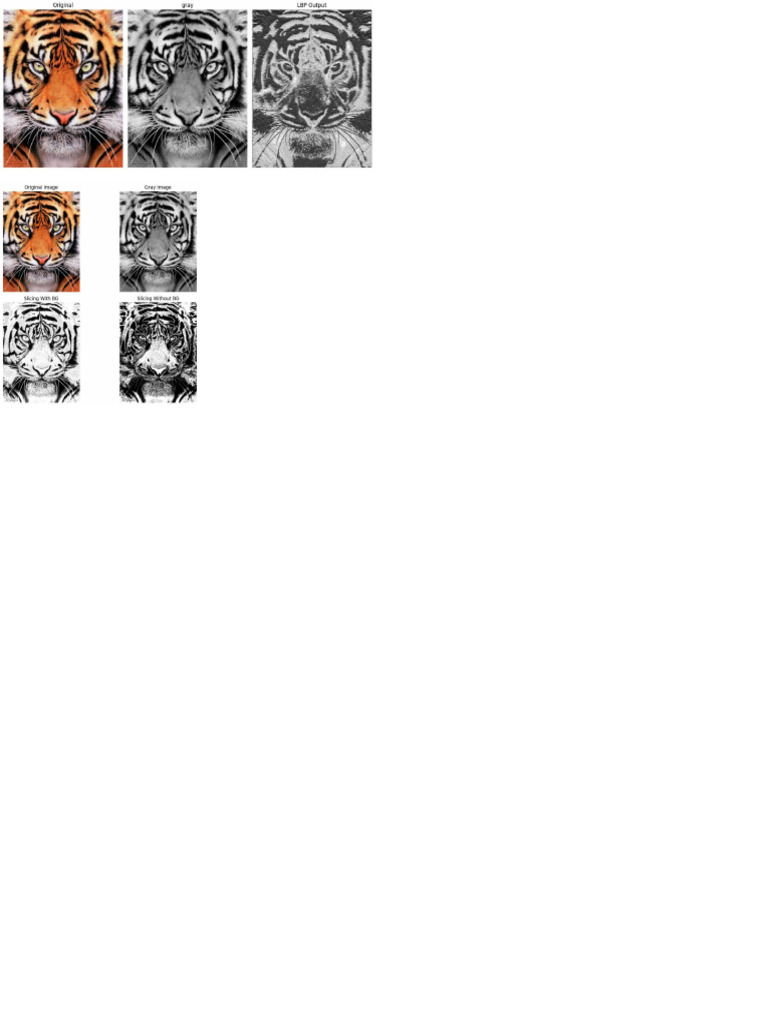 Color Print | PDF