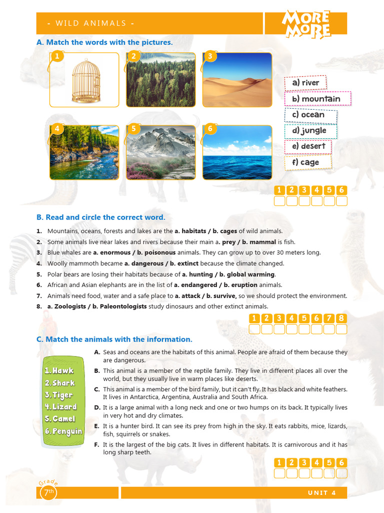 7th Grade Wild Animals Unit 4 Activities | PDF | Wildlife | Endangered ...