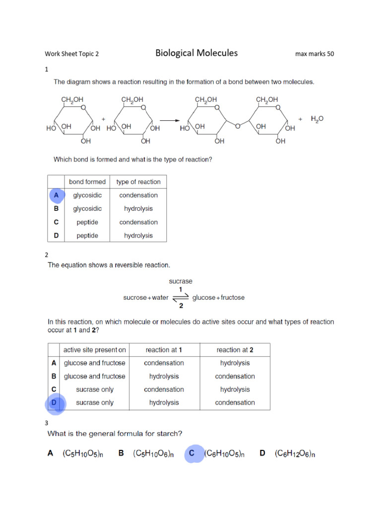 Biological Molecules Worksheet | PDF