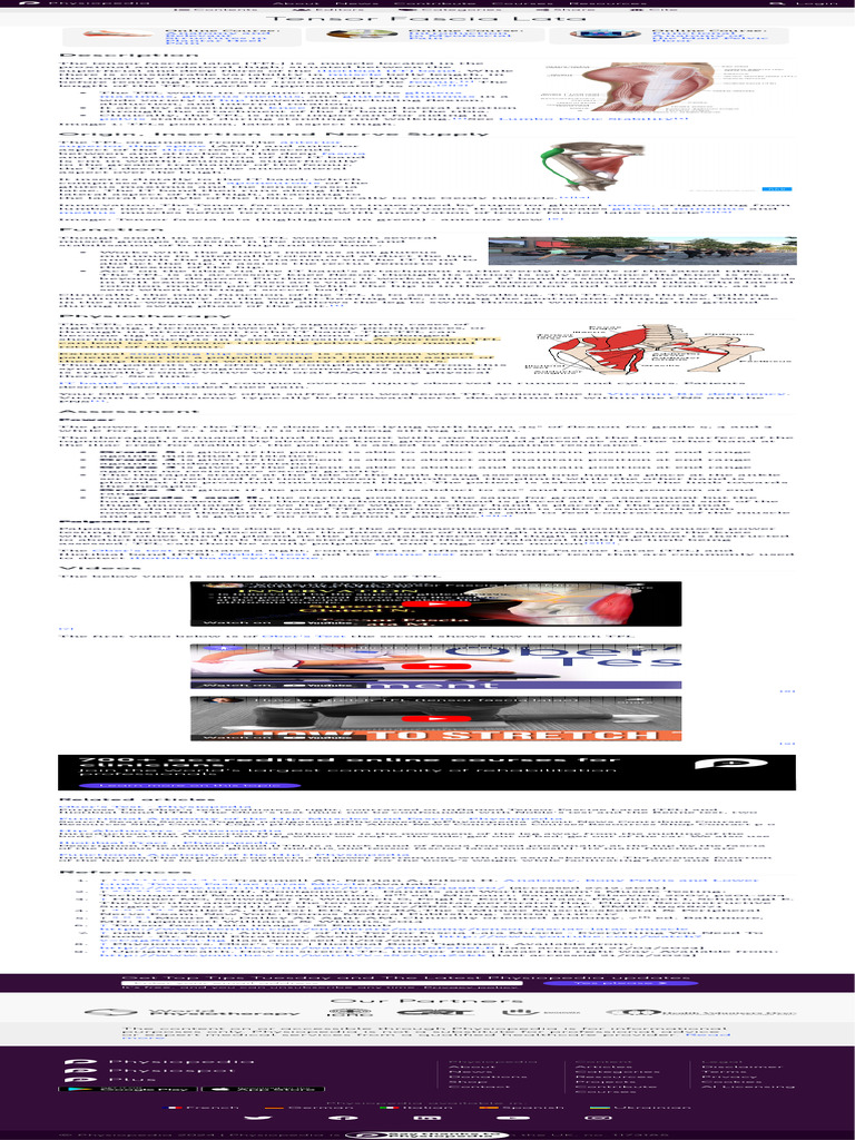 Tensor Fascia Lata: Anatomy and Function | PDF | Pelvis | Hip